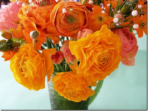 Inspired to Flower: Ranunculus